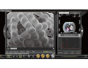 JEOL: JSM-IT200 | Radaco